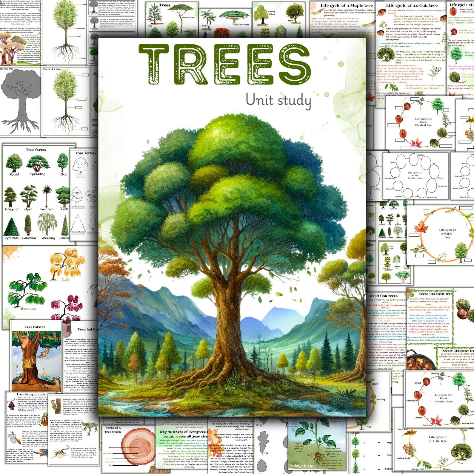 BOTANY Bundle, Flower Unit, Roots Unit, Fruits Unit, Trees Unit, Leaf ...