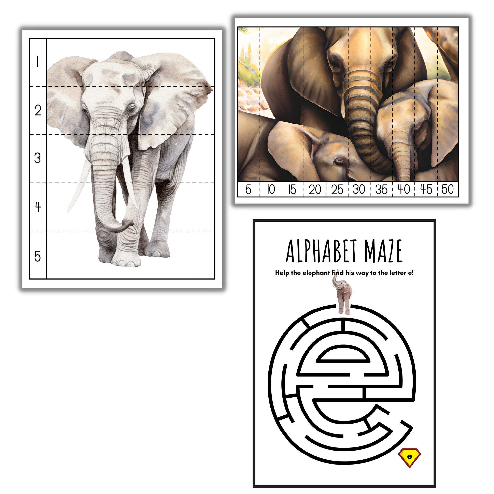Elephant Mini Unit Study, Elephant Anatomy, Elephant Life Cycle ...