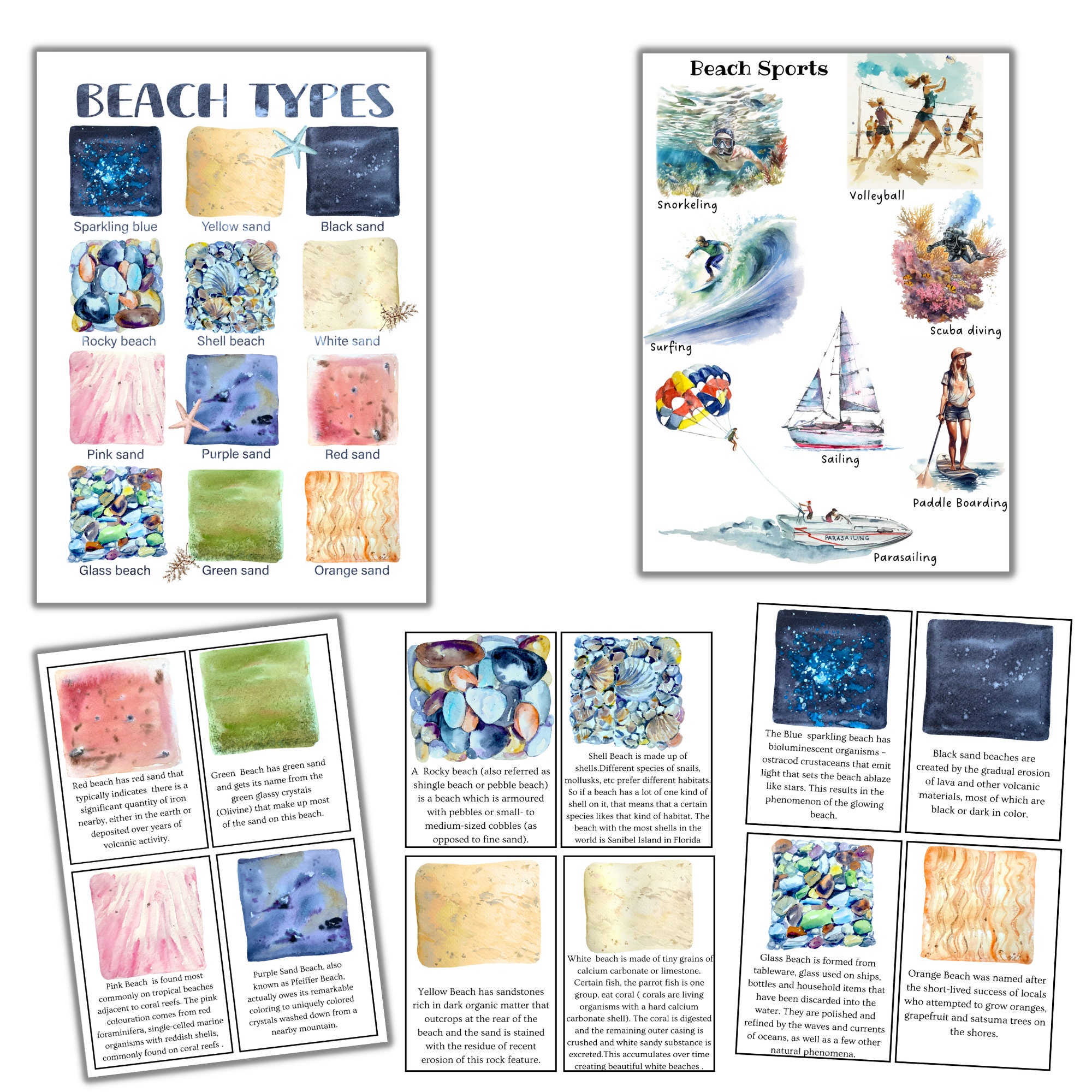 Beach Unit Study Crab Unit Study Seashore Animals Lobster - Etsy