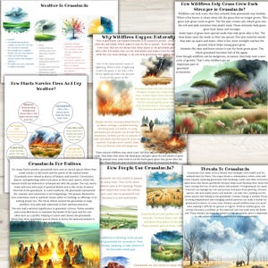 Biomes Unit Study, Land Biome, Geography Unit , Geography Homeschool ...