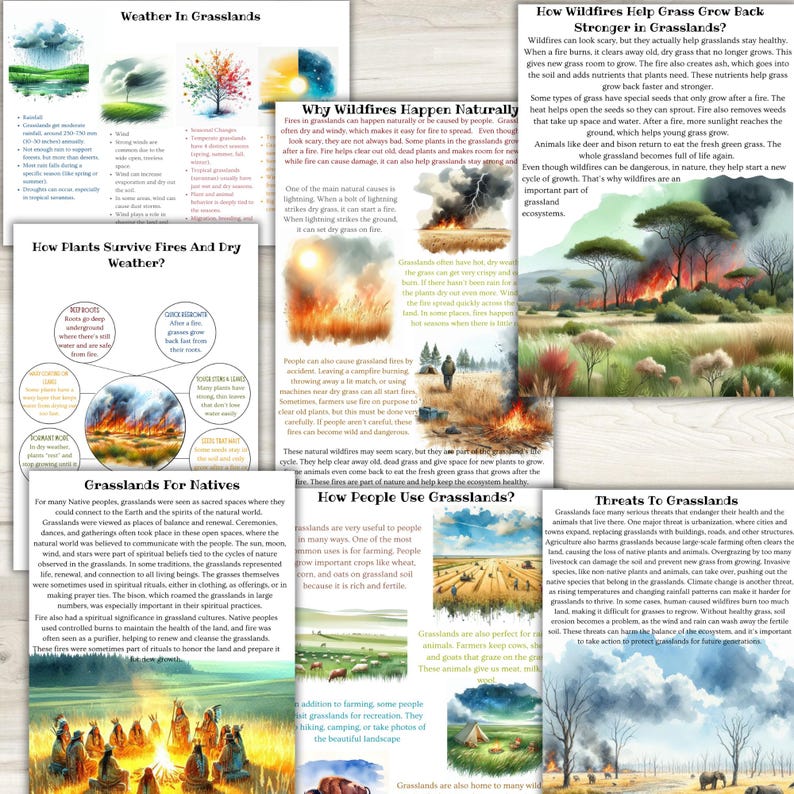 Biomes Unit Study, Land Biome, Geography Unit , Geography Homeschool ...