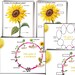 Flowers Unit Study,parts of Flower, Sunflower Life Cycle, Spring Unit ...