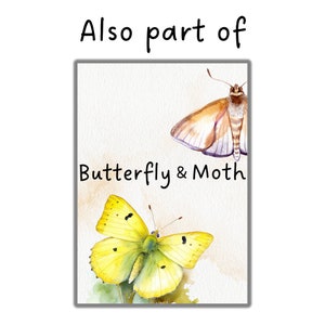 Butterfly Unit Study, Butterfly Printable Puzzle, Butterfly 3 Part ...