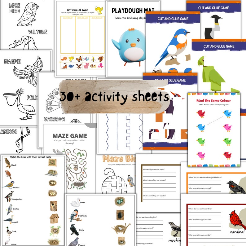 Birds Unit Study Bird Anatomy Bird Montessori 3 Part Cards - Etsy