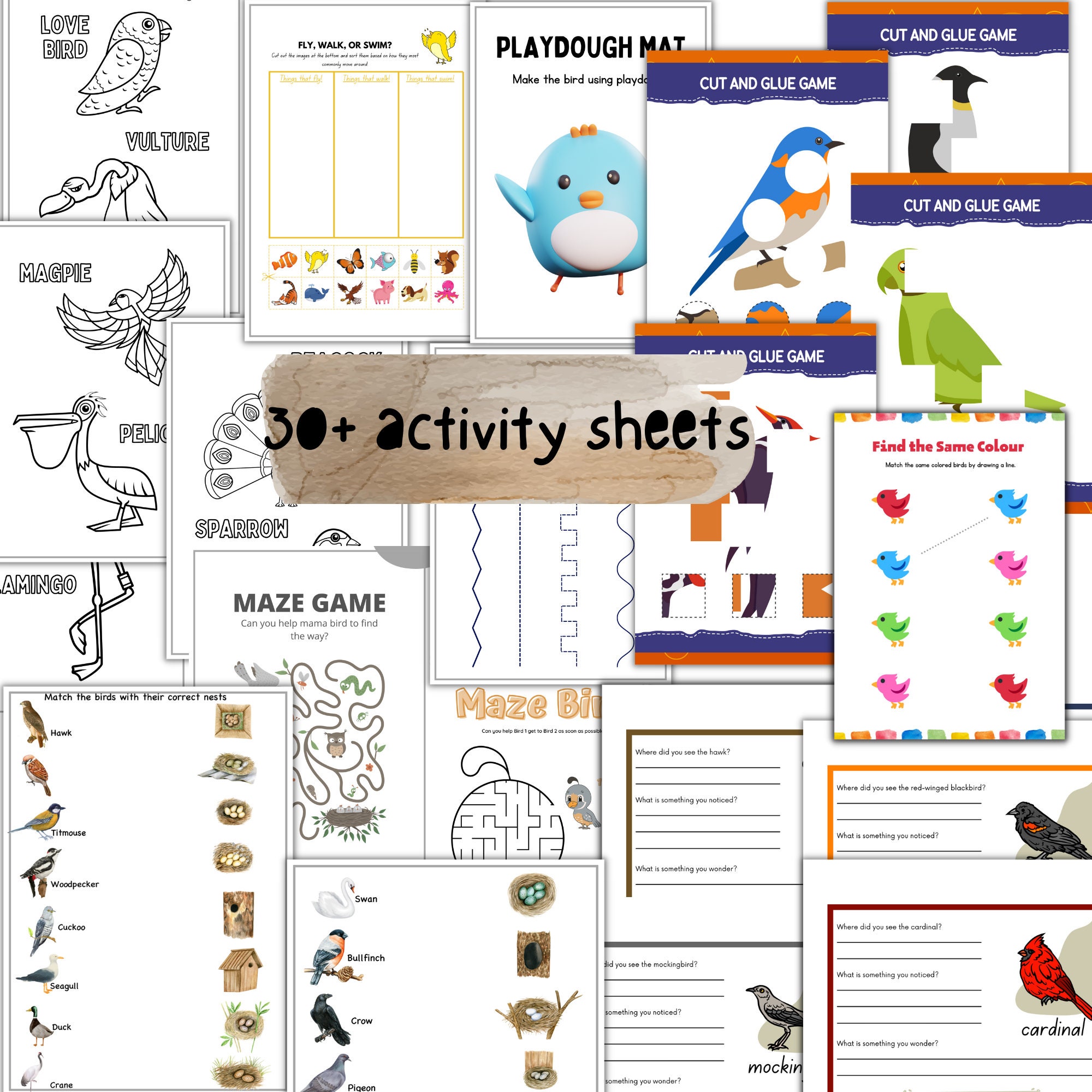 Birds Unit Study Bird Anatomy Bird Montessori 3 Part Cards - Etsy