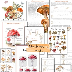 Fall Unit Study, Mushroom Unit Study, Corn Unit Study, Fox Unit Study ...