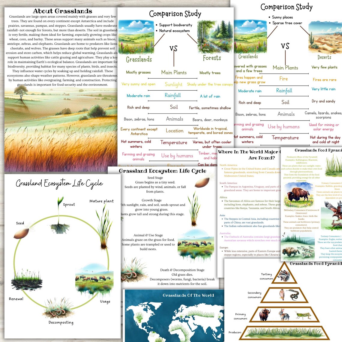 Biomes Unit Study, Land Biome, Geography Unit , Geography Homeschool ...
