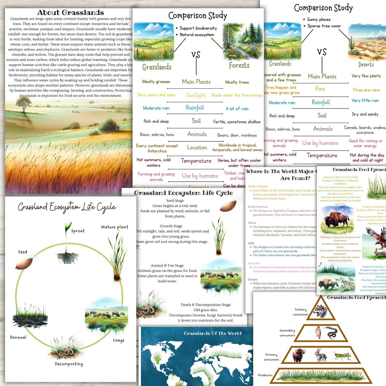 Biomes Unit Study, Land Biome, Geography Unit , Geography Homeschool ...