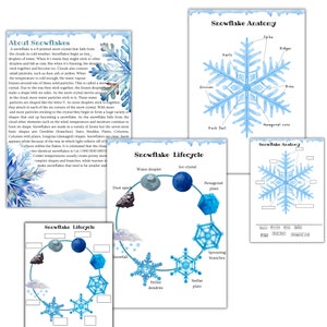 Snow Unit Study, Winter Printable Activity, Snowflake Anatomy ...