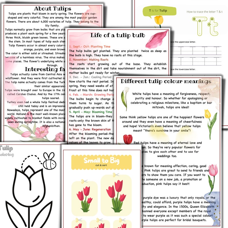 Flowers Unit Study,parts of Flower, Sunflower Life Cycle, Spring Unit ...