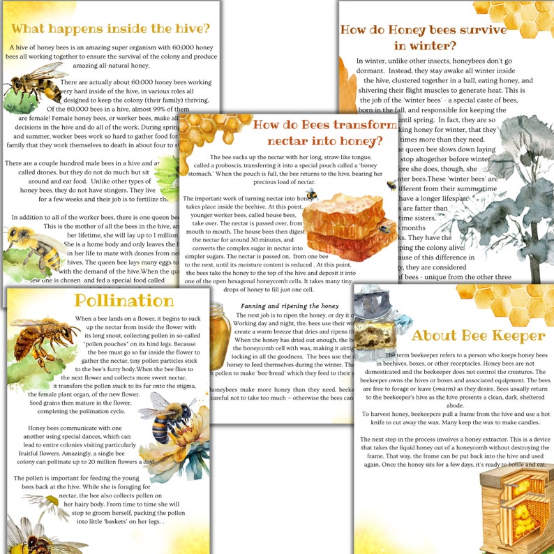 Honey Bee Unit Study Honey Bee Puzzle Printable Honey Bees - Etsy