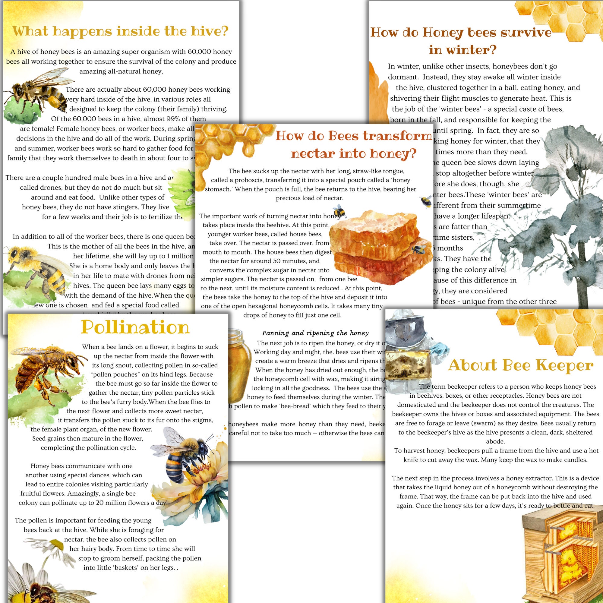 Honey Bee Unit Study Honey Bee Puzzle Printable Honey Bees - Etsy