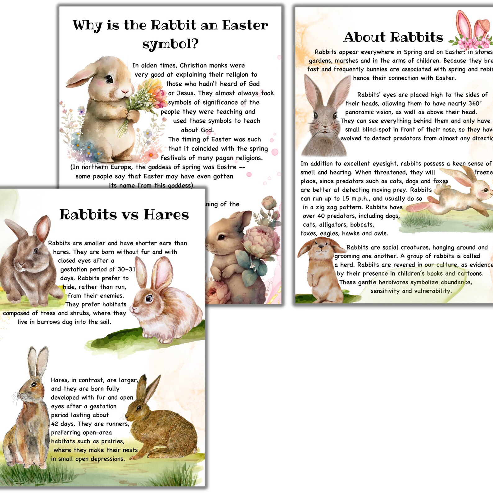 Easter Unit Study, Easter Activities Printable, Easter Pack, Rabbit ...