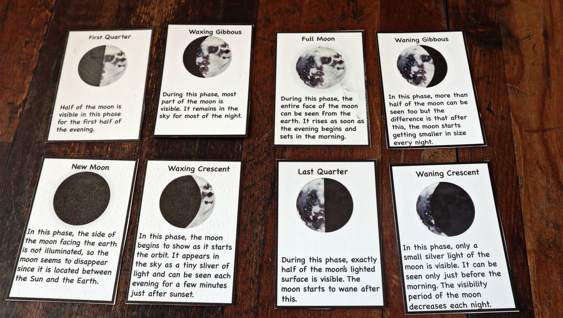 Moon Phases Printable Moon Anatomy Moon Unit Study 3 Parts - Etsy UK