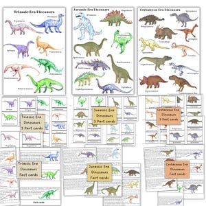 Dinosaurs Unit Study, Dinosaur Lifecycle, Fossils Unit Study, Dinosaur ...