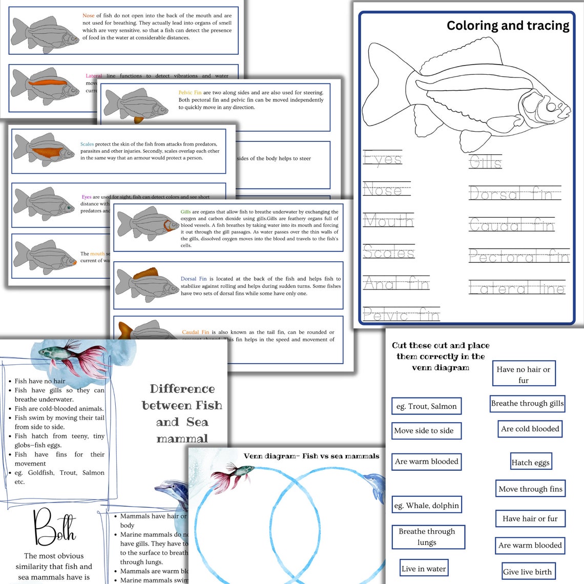 Fish Unit Study, Fish Printable Puzzle, Fish Activities, Shark Unit ...