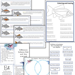 Fish Unit Study, Fish Printable Puzzle, Fish Activities, Shark Unit ...