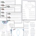 Fish Unit Study, Fish Printable Puzzle, Fish Activities, Shark Unit ...