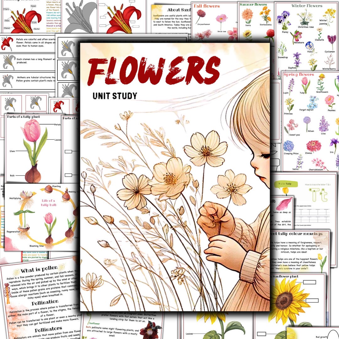 Flowers Unit Study,parts of Flower, Sunflower Life Cycle, Spring Unit ...