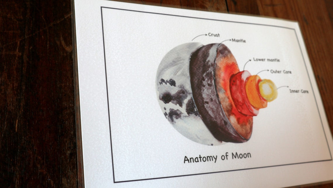 Moon Phases Printable Moon Anatomy Moon Unit Study 3 Parts - Etsy UK