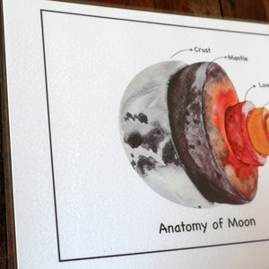 Moon Phases Printable, Moon Anatomy, Moon Unit Study, 3 Parts Cards ...
