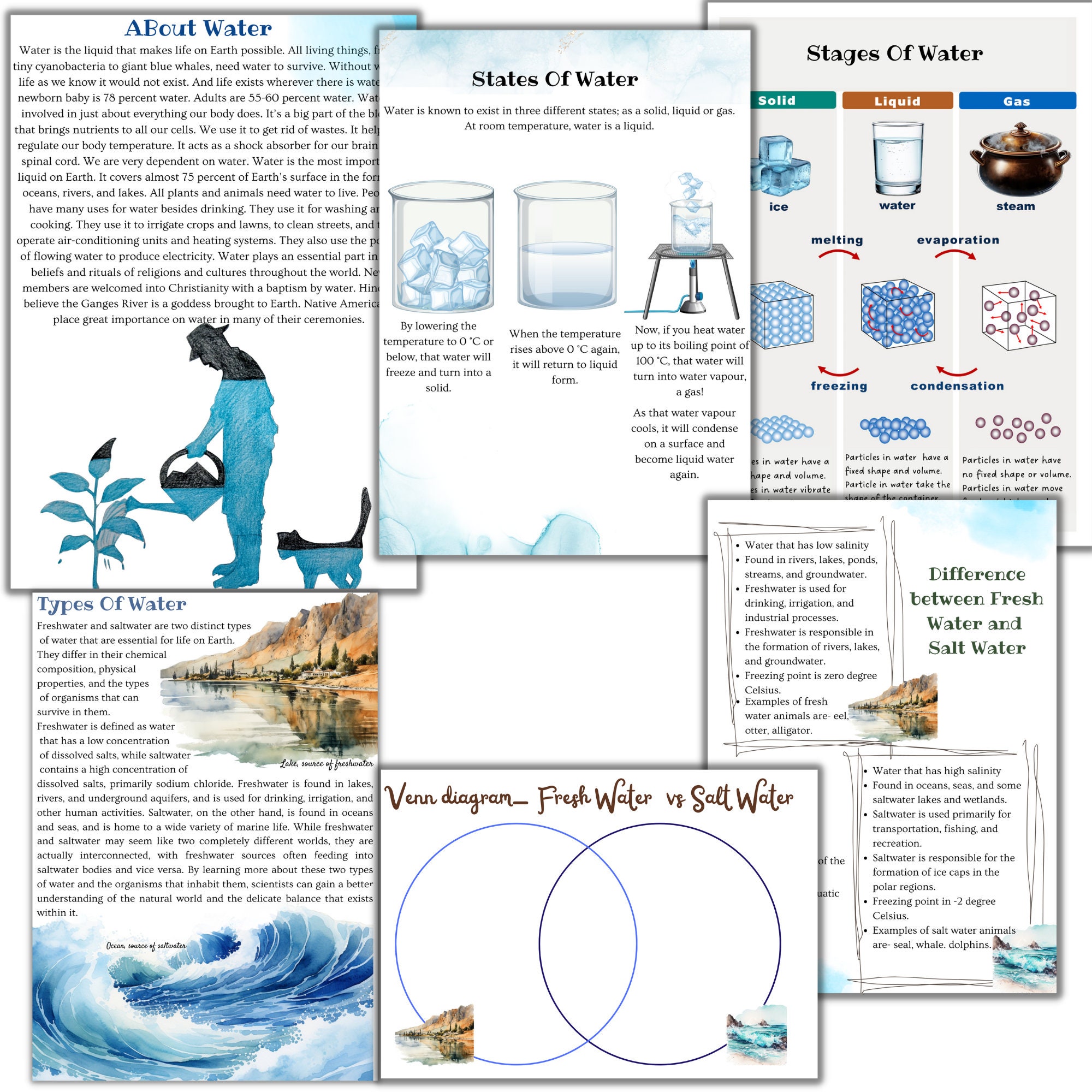 Water Unit Study, Water Bodies Printables, Water Bodies Montessori ...
