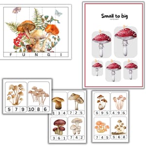 Mushroom Unit Study, Mushroom Life Cycle, Fall Nature Study, Mushroom ...