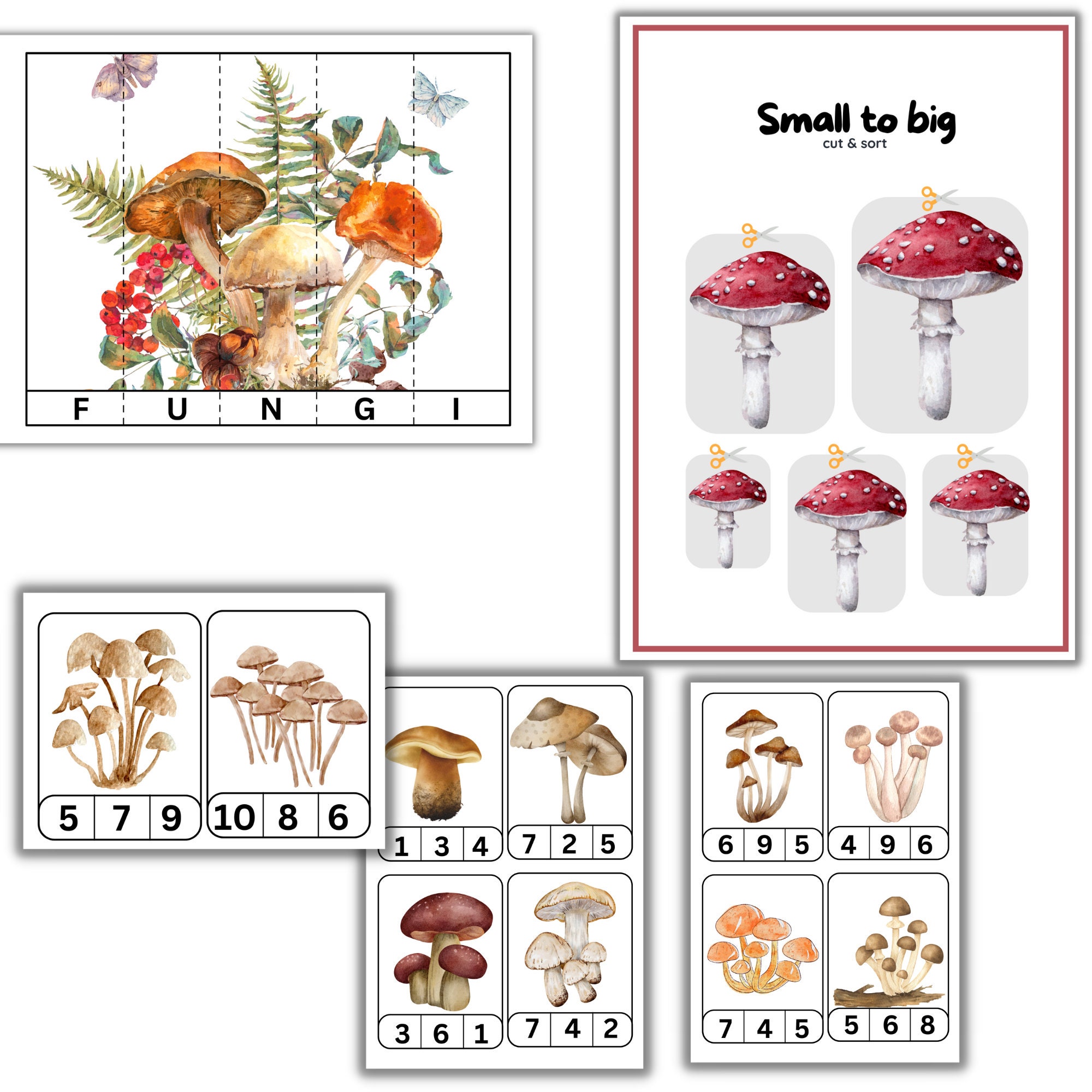 Mushroom Unit Study, Mushroom Life Cycle, Fall Nature Study, Mushroom ...