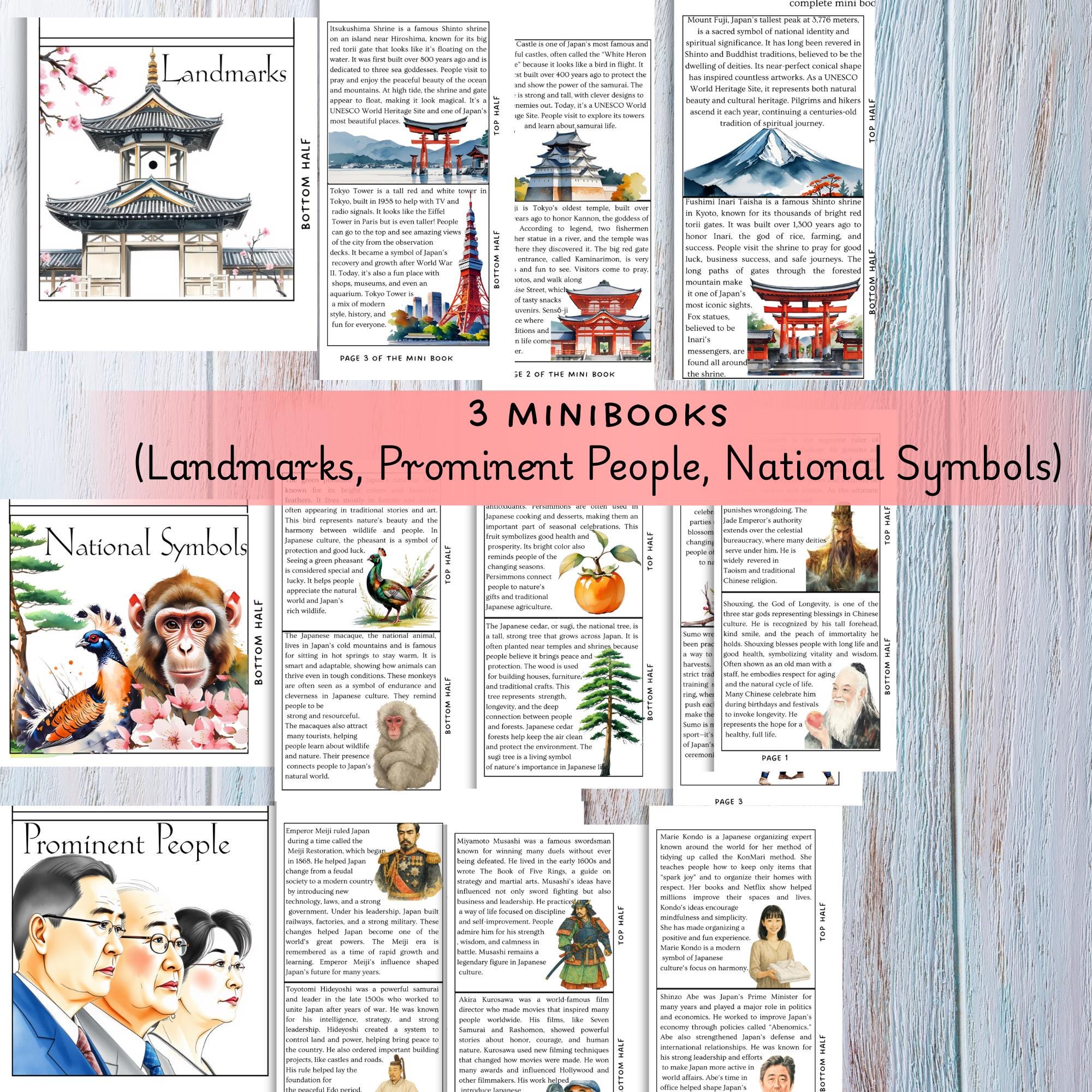 Japan Lapbook, Japan Unit Study, Around the World Lessons, Asia Unit Study, Japan Printables ...