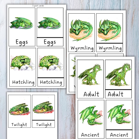 Dragon Life Cycle