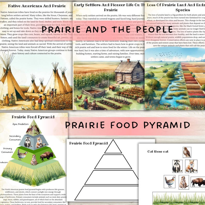 Prairie Unit Study, Biome Unit Study, Prairie Food Pyramid, Prairie ...