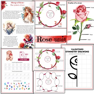Valentines Unit Study, Rose Unit, Rose Life Cycle, Parts of a Rose ...