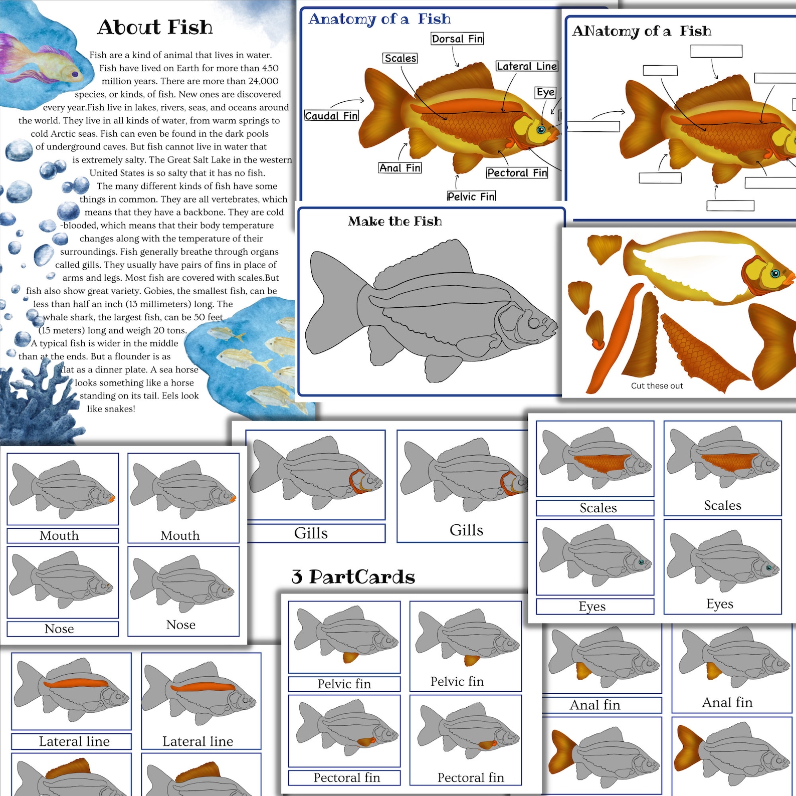 Fish Unit Study, Fish Printable Puzzle, Fish Activities, Shark Unit ...