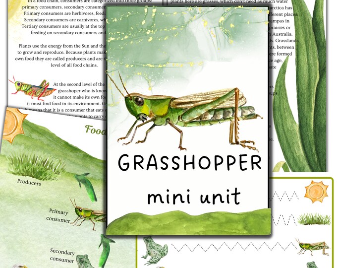 Parts of a Grasshopper Nomenclature Book Montessori Zoology Printable ...