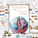 Rocks Mineral Gemstones Units Study, Rocks Printables, Geology Unit ...