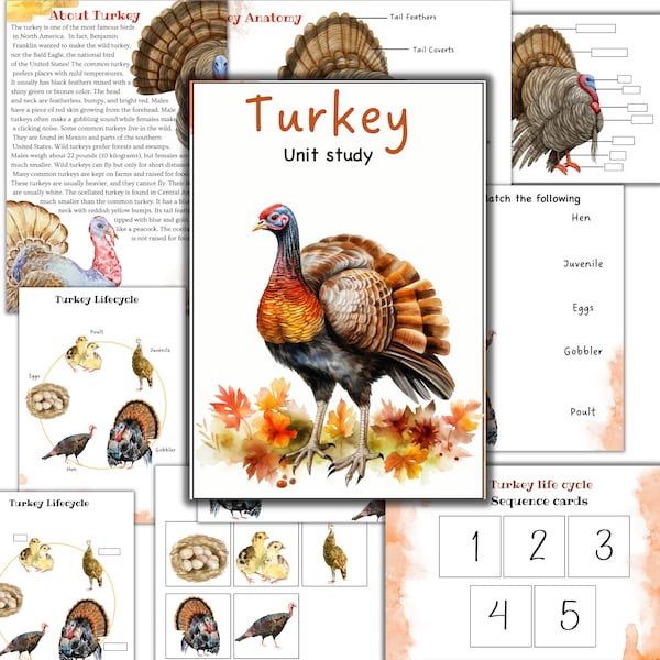 Farm Unit Study, Chicken Unit Study, Farm Animals Activities, Pea Plant ...