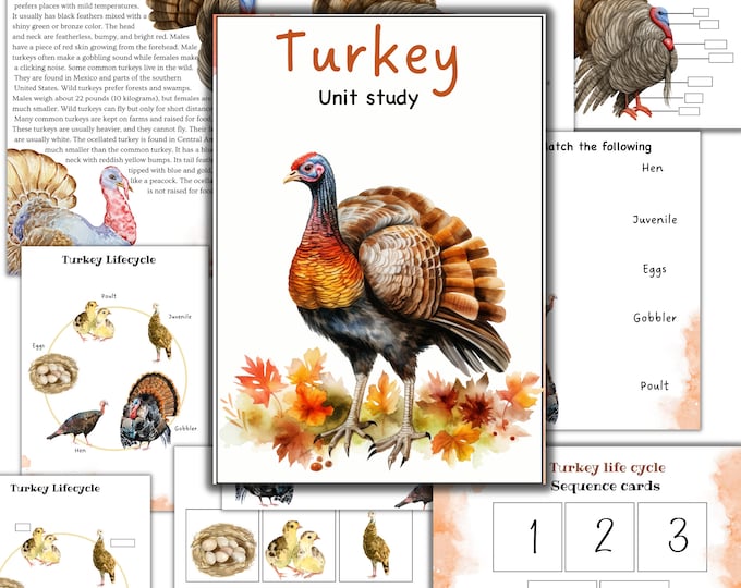 Turkey Unit Study, Anatomy, Life Cycle, Flashcards, Breeds, Worksheets ...