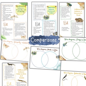 Pond Unit Study, Wetlands Unit, Swamp Unit, Dragonfly Unit Study, Pond ...