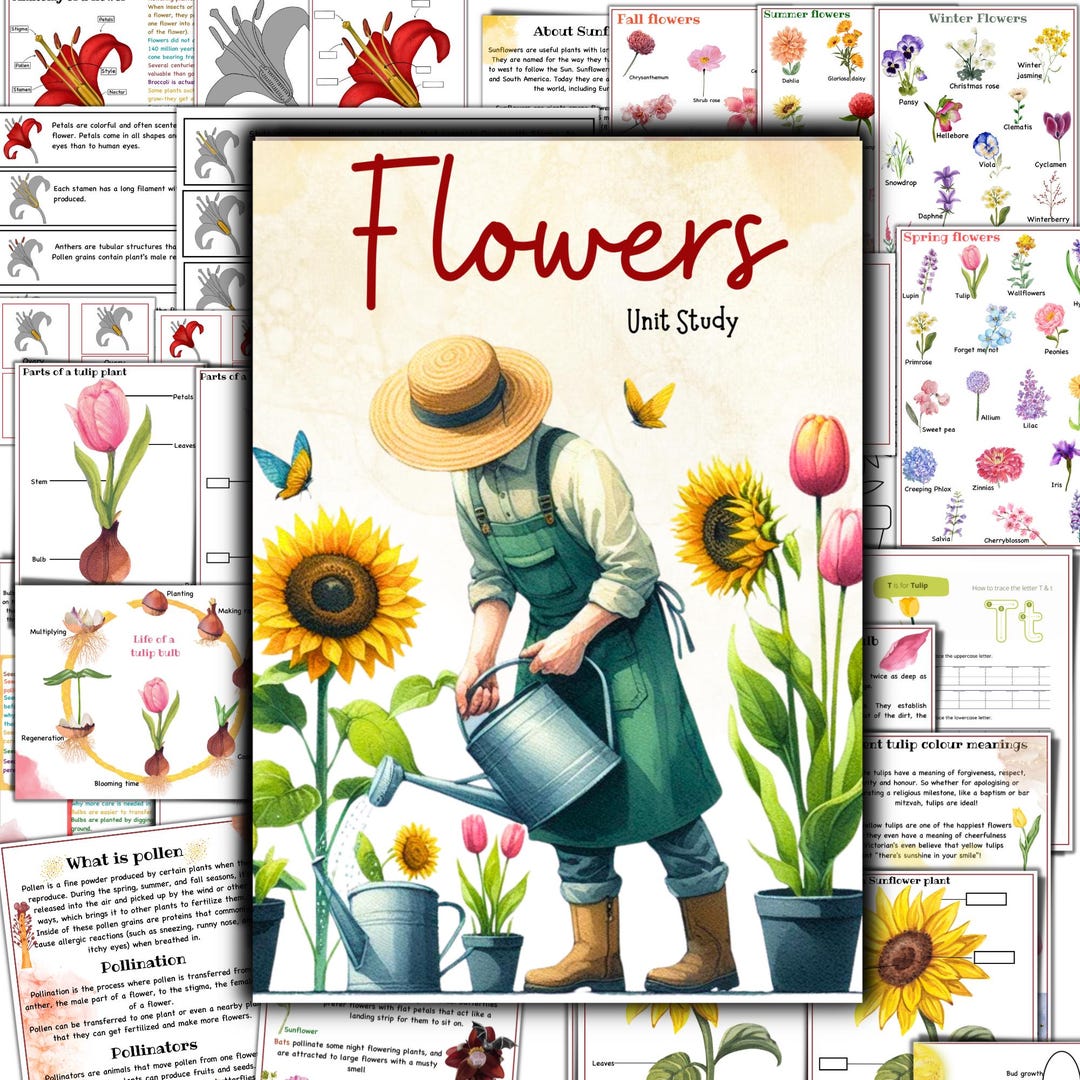 Flowers Unit Study,parts of Flower, Sunflower Life Cycle, Spring Unit ...