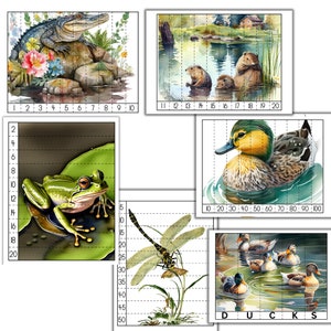 Pond Unit Study, Wetlands Unit, Swamp Unit, Dragonfly Unit Study, Pond ...