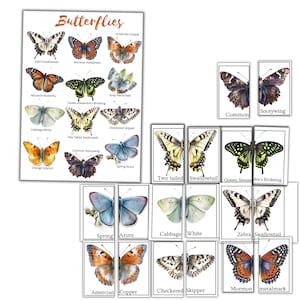 Butterfly Unit Study, Butterfly Printable Puzzle, Butterfly 3 Part ...