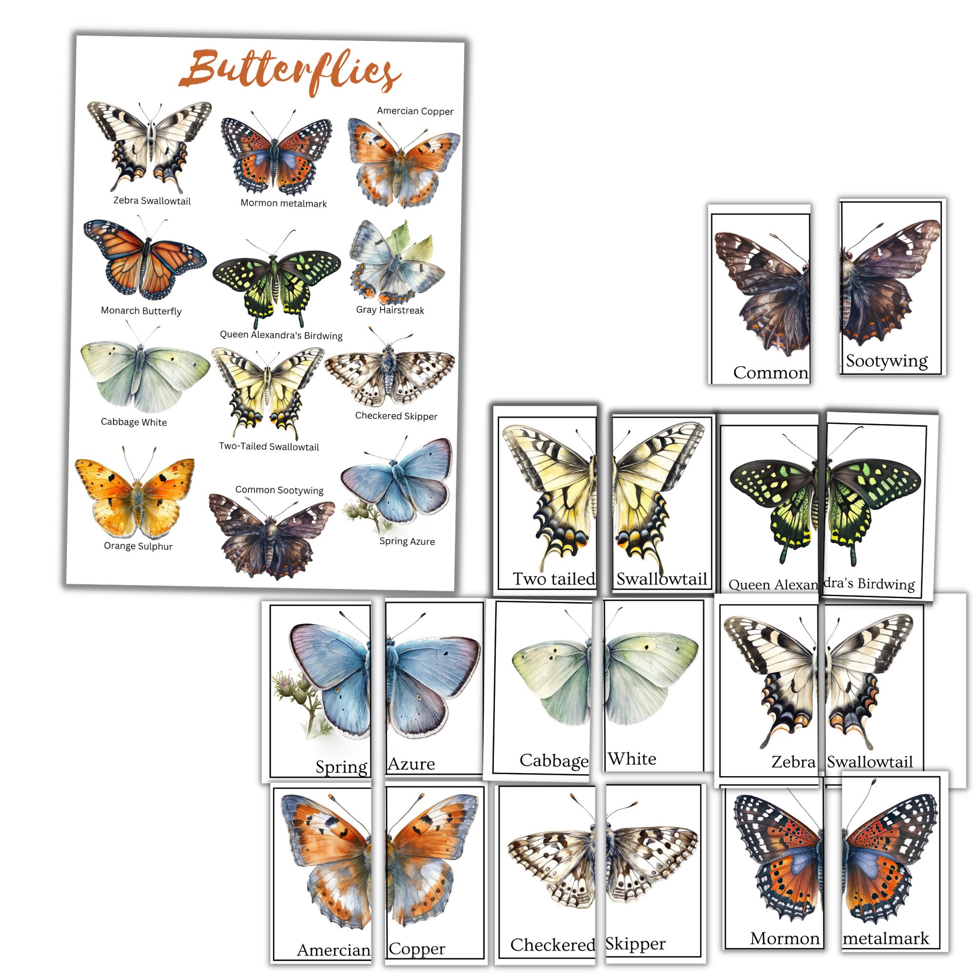 Butterfly Unit Study, Butterfly Printable Puzzle, Butterfly 3 Part ...