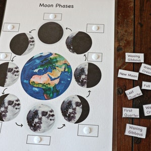 Moon Phases Printable, Moon Anatomy, Moon Unit Study, 3 Parts Cards ...