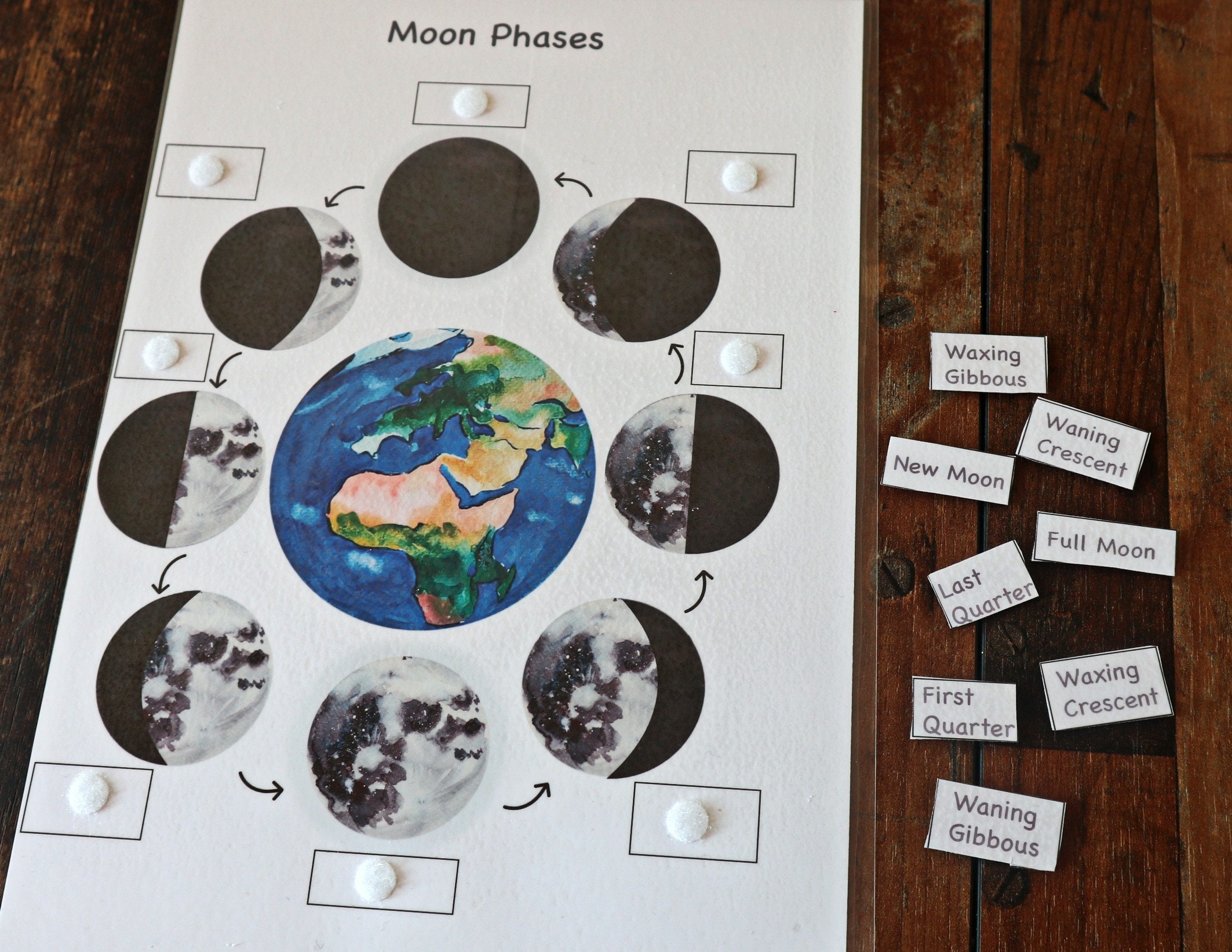 Moon Phases Printable, Moon Anatomy, Moon Unit Study, 3 Parts Cards ...