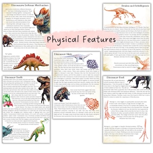 Dinosaurs Unit Study, Dinosaur Lifecycle, Fossils Unit Study, Dinosaur ...