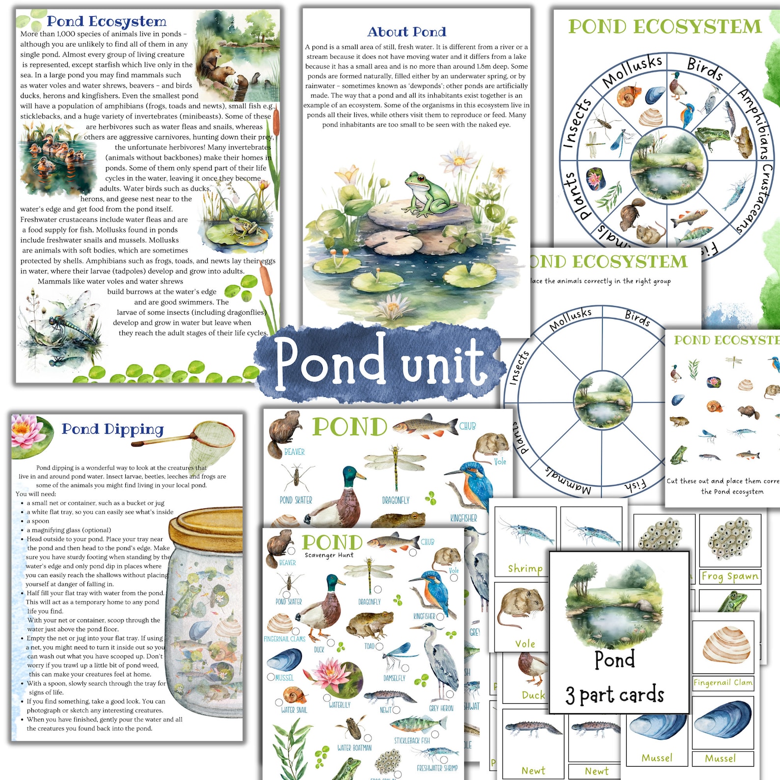 Pond Unit Study, Wetlands Unit, Swamp Unit, Dragonfly Unit Study, Pond ...