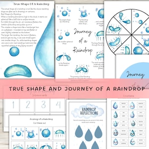 Precipitation Unit Study, Water Cycle, Weather Unit, Nature Study ...