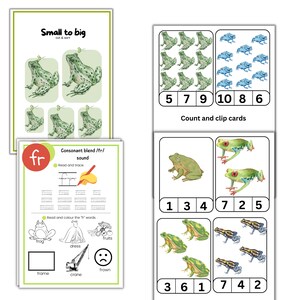 Frog Unit Study, Frog 3 Part Cards, Frog Printable Puzzle, Amphibian ...