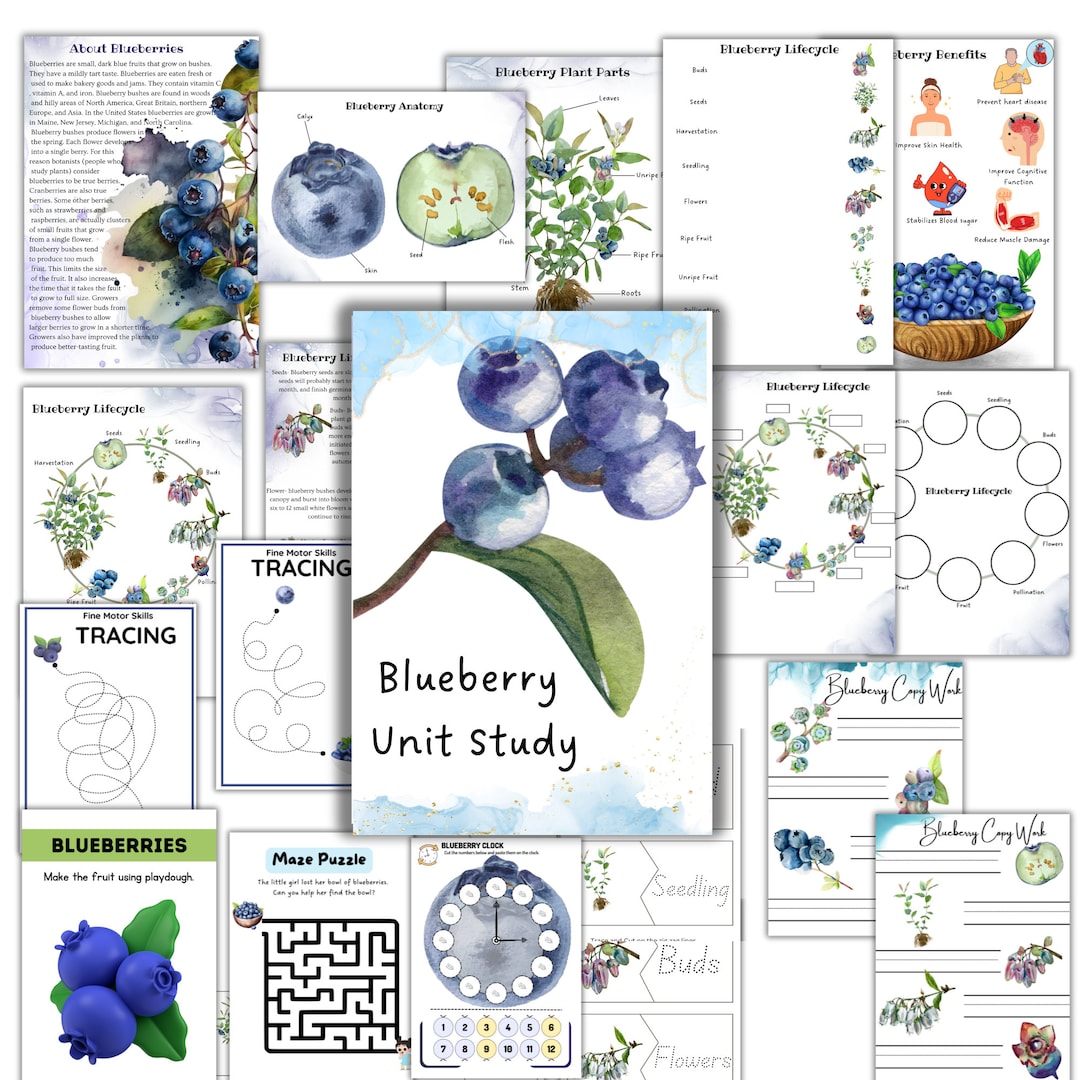 Blueberry Unit Study, Blueberry Anatomy, Blueberry Lifecycle, Nature ...