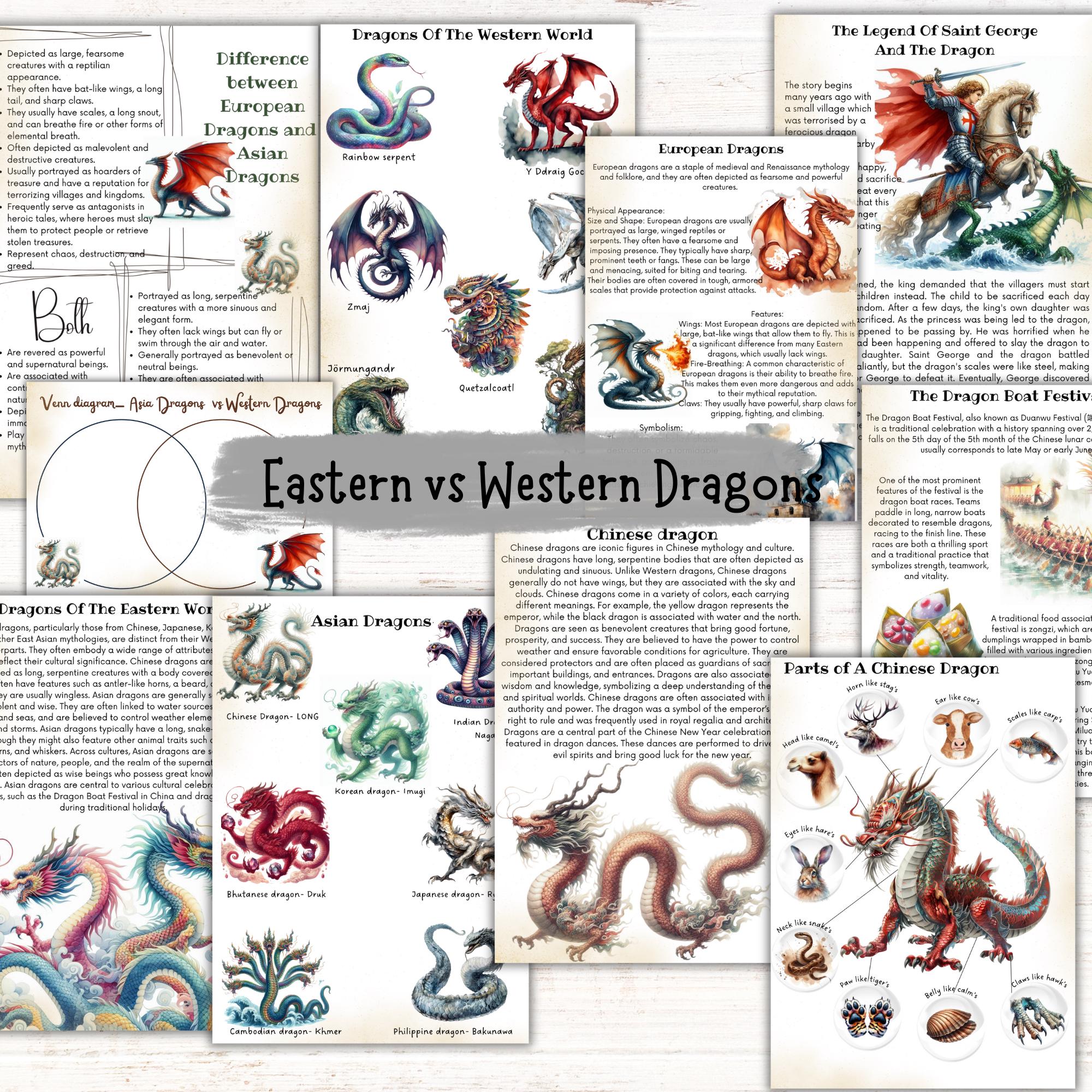Dragons Unit Study, Mythology Unit Study, Dragon Anatomy, Dragon Life ...